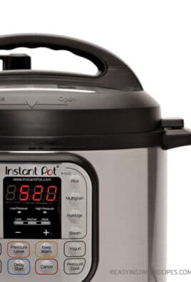 Help?! My Meat is Burning When I Sauté